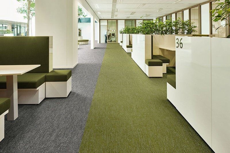 Flotex: The Durable Soft Flooring Solution Revolutionizing Spaces