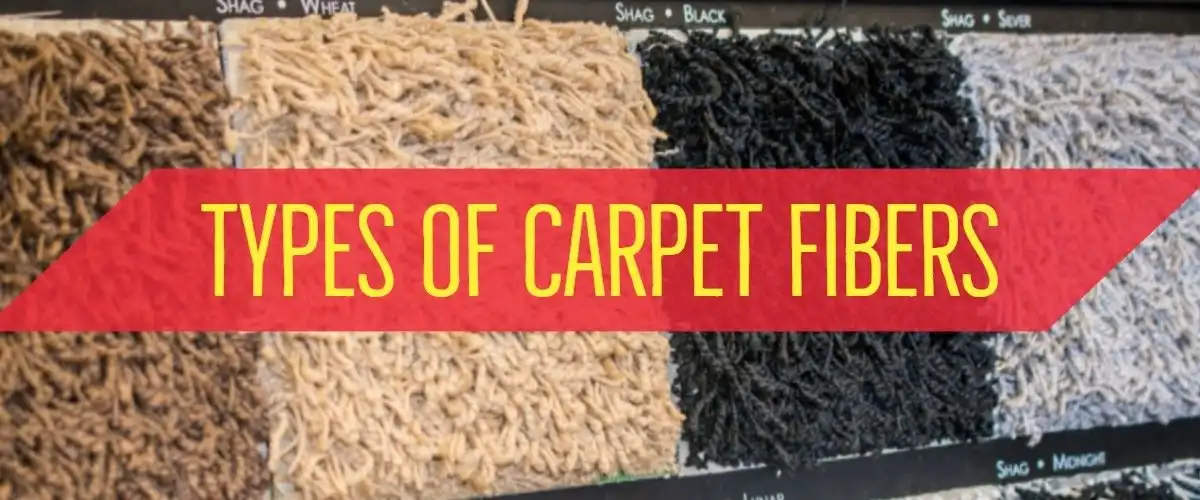 Understanding Carpet in 2024