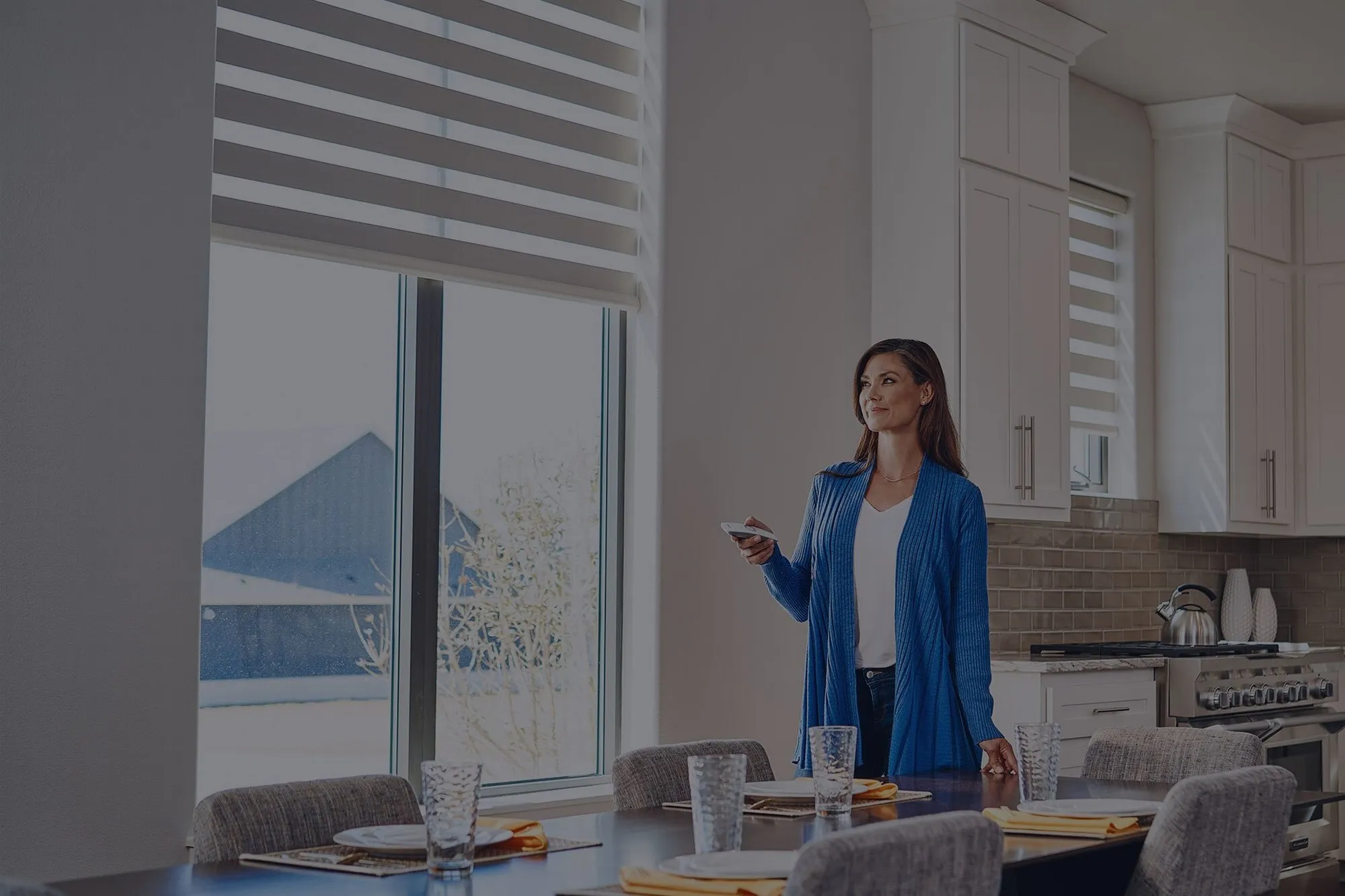 Advanced Battery-Powered Smart Window Coverings